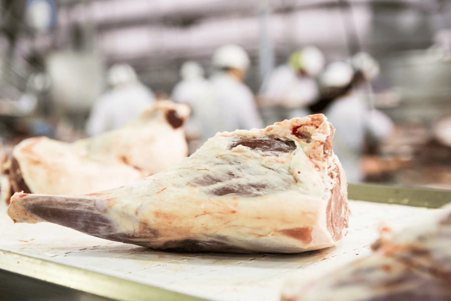 Bea-ewe-tiful! Abattoir expansion creates jobs in Stawell | News and ...