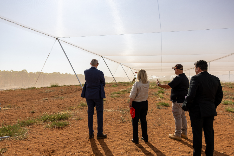 TAFE students get smart with farming in Sunraysia | News and articles ...